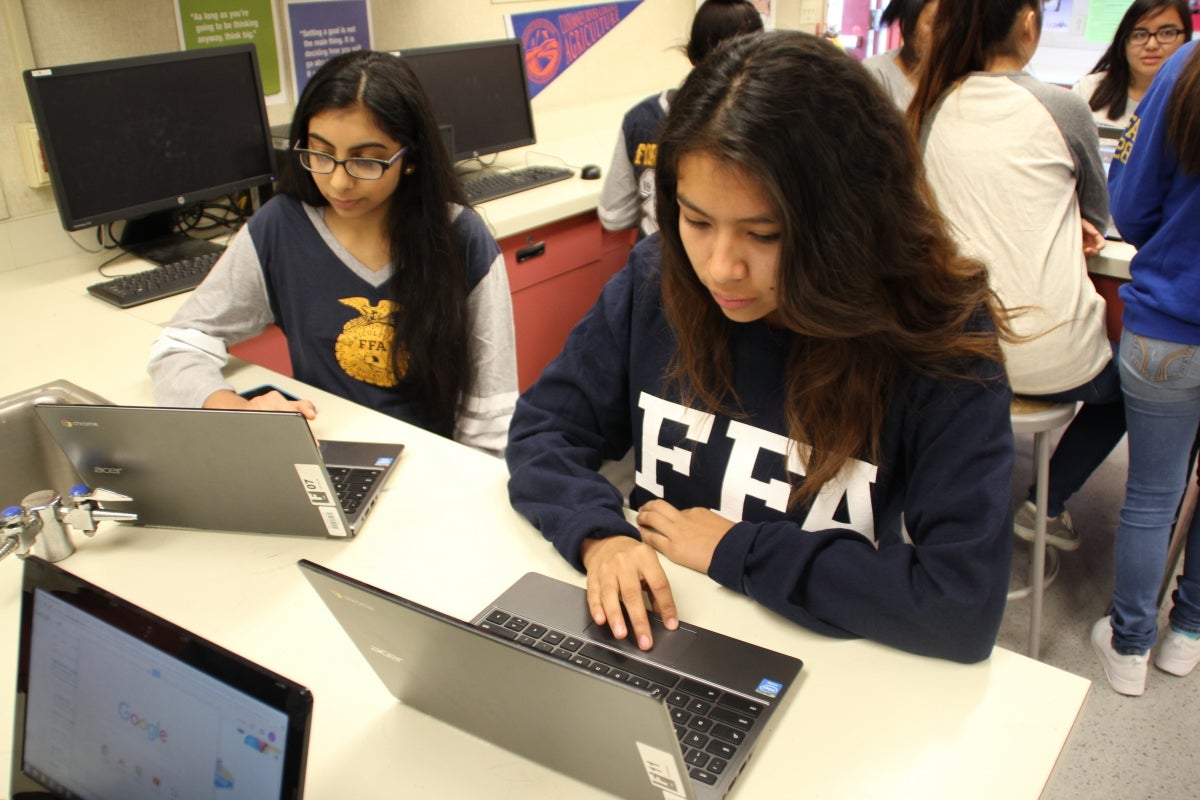 7 Reasons to Apply for an FFA Scholarship Now - National FFA Organization