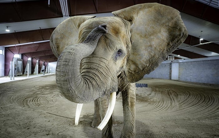 Veterinary Science | National FFA Organization