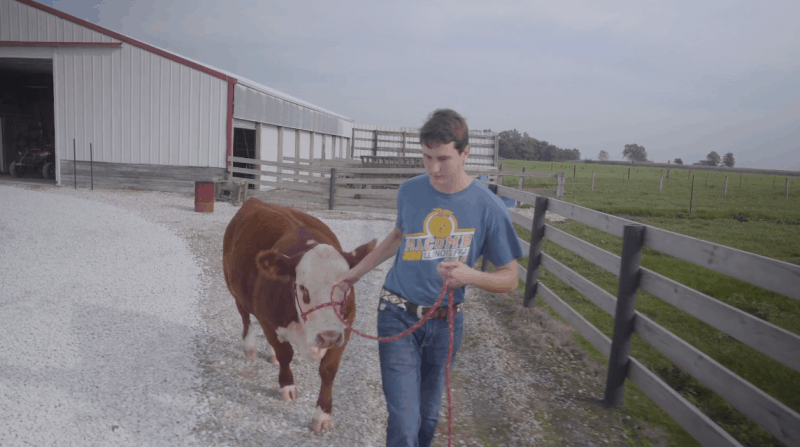 Meet Nick Torrance, 2019 American Star Farmer Finalist | National FFA ...